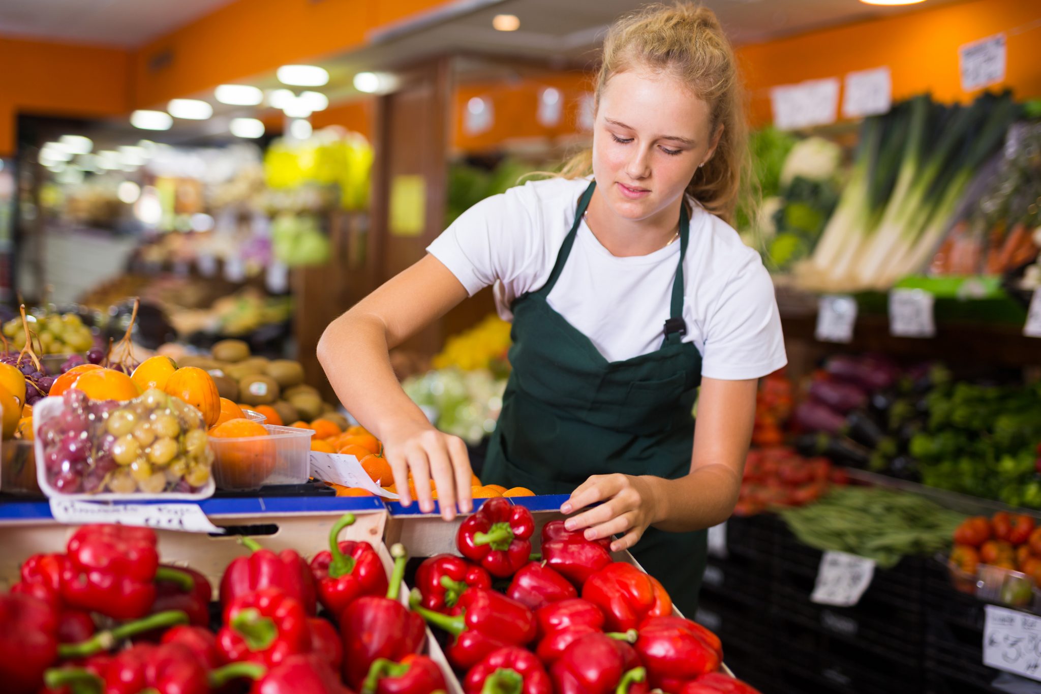 Pro Tips: Finding Employment - The Summit Center